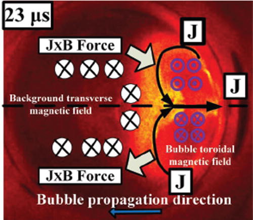 Experimental investigation of coaxial-gun-formed plasmas injected into ...