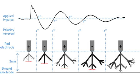 Alternating streamer propagation in mineral oil under bipolar ...