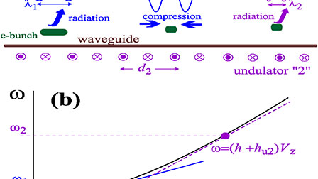 Spontaneous super-radiative cascade undulator emission from short dense ...