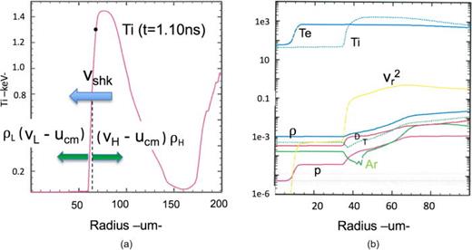 Multi-species plasma transport in 1D direct-drive ICF simulations ...