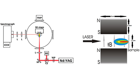 Volume 26 Issue 4 | Physics of Plasmas | AIP Publishing