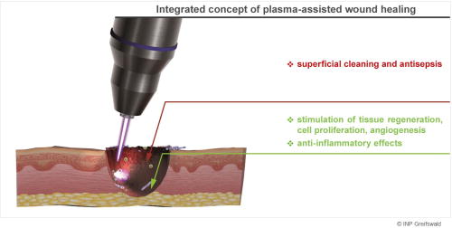 Perspectives on cold atmospheric plasma (CAP) applications in medicine ...