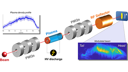 Experimental observation of the transition between hose and self ...