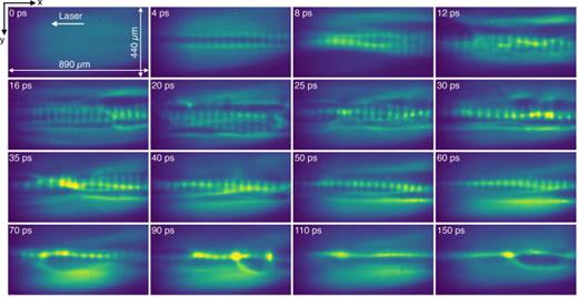 Electron Weibel instability induced magnetic fields in optical-field ...