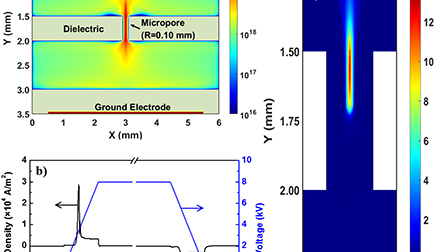 Dynamics of dielectric micropore discharge in atmospheric pulsed ...