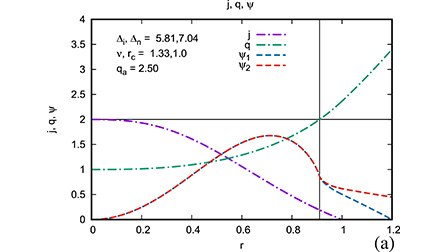 Models of resistive wall tearing mode disruptions | Physics of Plasmas ...