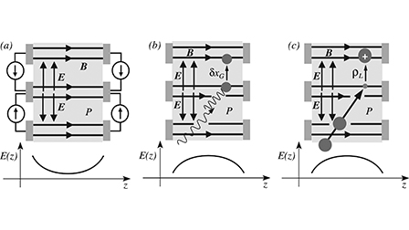 DC electric field generation and distribution in magnetized plasmas ...