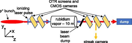 Development of the self-modulation instability of a relativistic proton ...