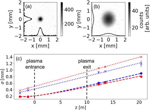 Development of the self-modulation instability of a relativistic proton ...