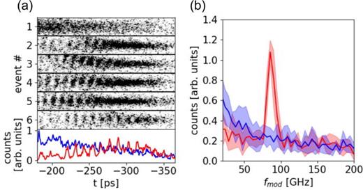 Development of the self-modulation instability of a relativistic proton ...
