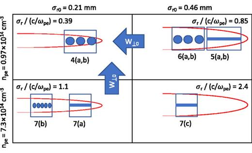 Development of the self-modulation instability of a relativistic proton ...