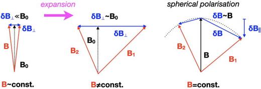 Alfvénic fluctuations in the expanding solar wind: Formation and radial evolution of spherical ...