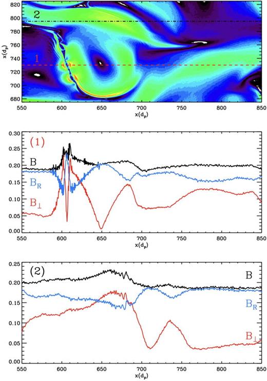 Alfvénic fluctuations in the expanding solar wind: Formation and radial evolution of spherical ...