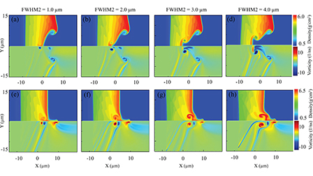 Coupling dynamics of capsule interior defects and its impact on ...