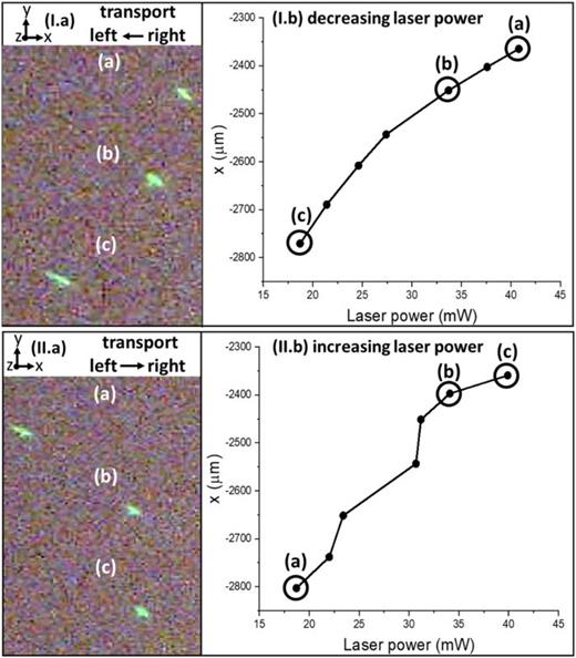Trapping and actively transporting single particles of arbitrary ...