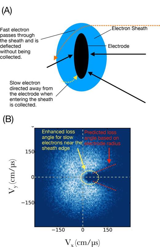 Presheath-like structures and effusive particle losses for biased ...