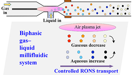 Controlled plasma-droplet interactions: Two-phase flow millifluidic ...
