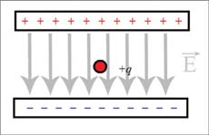 Modeling the Dynamics of Gel Electrophorresis in the High School ...