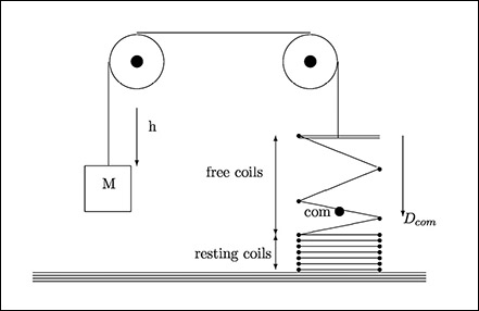 A Slinky’s Elastic Potential Energy | The Physics Teacher | AIP Publishing