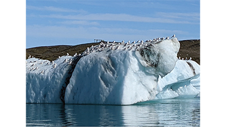 Oscillating iceberg: Solutions for Fermi Questions, February 2023 | The ...