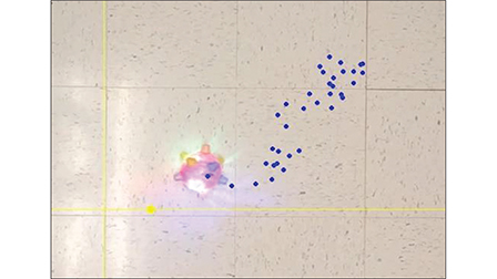Capturing the Random Walk with Toys | The Physics Teacher | AIP Publishing