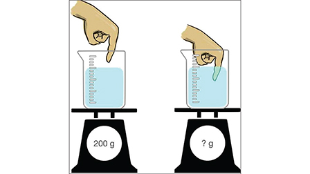 Poking Your Finger into a Cup of Water on a Scale: Simple Adhesion ...