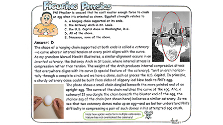 Figuring Physics March Answer | The Physics Teacher | AIP Publishing
