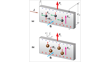 Origin of the Laplace Force Applied to a Current-Carrying Wire Immersed ...
