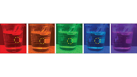 Narrow-Band Invisibility Cloaking: The Vanishing Test Tube Revisited ...