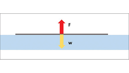 Can 1 kg of Iron Float on Water? | The Physics Teacher | AIP Publishing