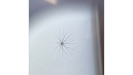 Static electricity discharge on a radiography plate | The Physics ...