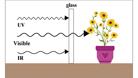Ultraviolet and Infrared Light Blocked by Glass? Verifying through ...
