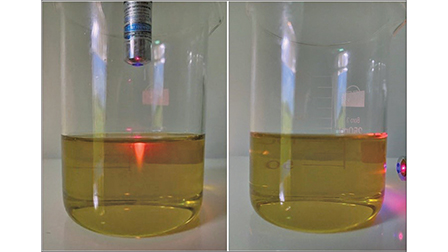 Chlorophyll fluorescence: Visualizing the inner-filter effect | The ...