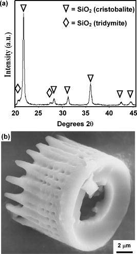 Closed, heated reaction chamber design for dynamic high-temperature x ...