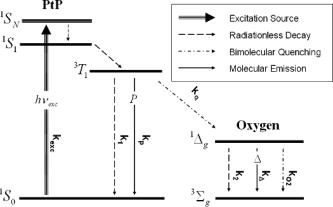 Oxygen pressure measurement using singlet oxygen emission | Review of ...