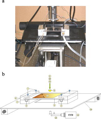 Evaluation of temperature-dependent adhesive performance via ...