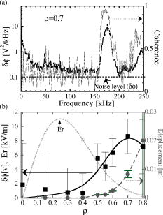 Observation of internal coherent mode structure using heavy ion beam ...