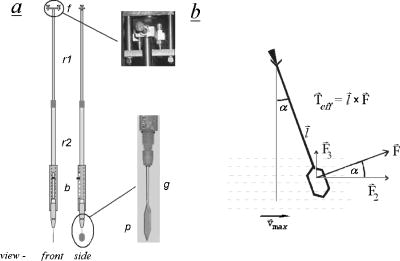 Pendulum viscometer: A new method for measurement of Miȩsowicz nematic ...