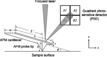 Lateral force calibration in atomic force microscopy: A new lateral ...