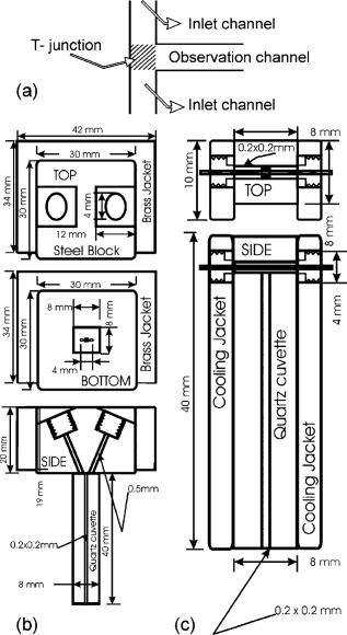 Detailed evaluation of the performance of microfluidic T mixers using ...