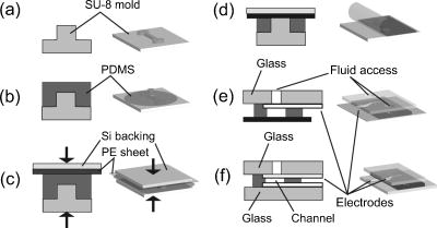 Microfabricated high-throughput electronic particle detector | Review of Scientific Instruments ...