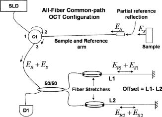 Common-path optical coherence tomography with side-viewing bare fiber ...