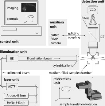 Basic building units and properties of a fluorescence single plane ...