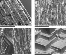 Recrystallization of tungsten wire for fabrication of sharp and stable ...