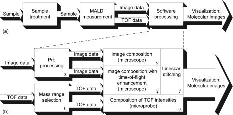 Tools and strategies for visualization of large image data sets in high ...