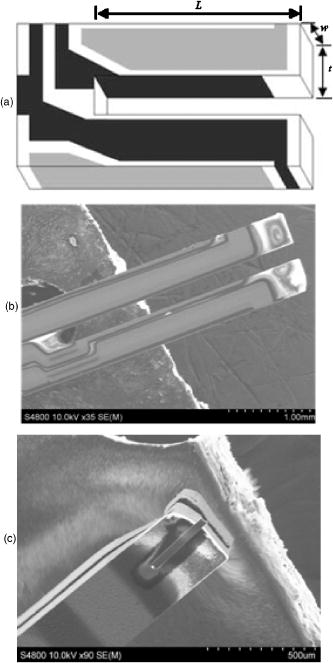 Calibrating a tuning fork for use as a scanning probe microscope force ...