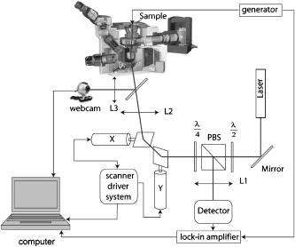 Laser scanning thermoreflectance imaging system using galvanometric ...
