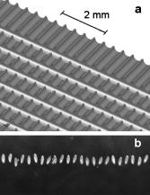 Automating fruit fly Drosophila embryo injection for high throughput ...