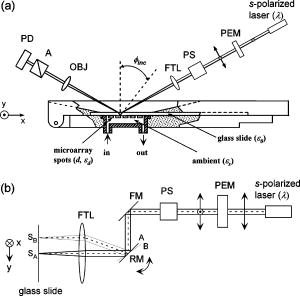 A novel high-throughput scanning microscope for label-free detection of ...