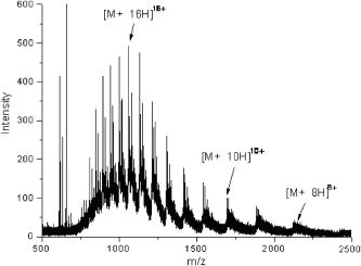 A homemade high-resolution orthogonal-injection time-of-flight mass ...